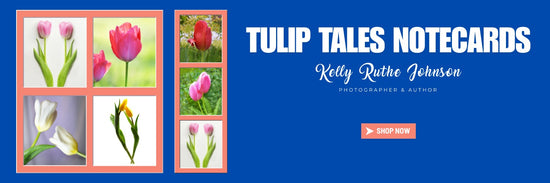 Kelly Johnson Photography | Fine Art Prints & Notecards